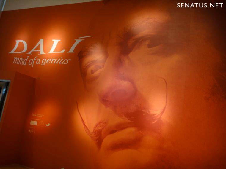 Dalí: Mind of a Genius at Marina Bay Sands | SENATUS