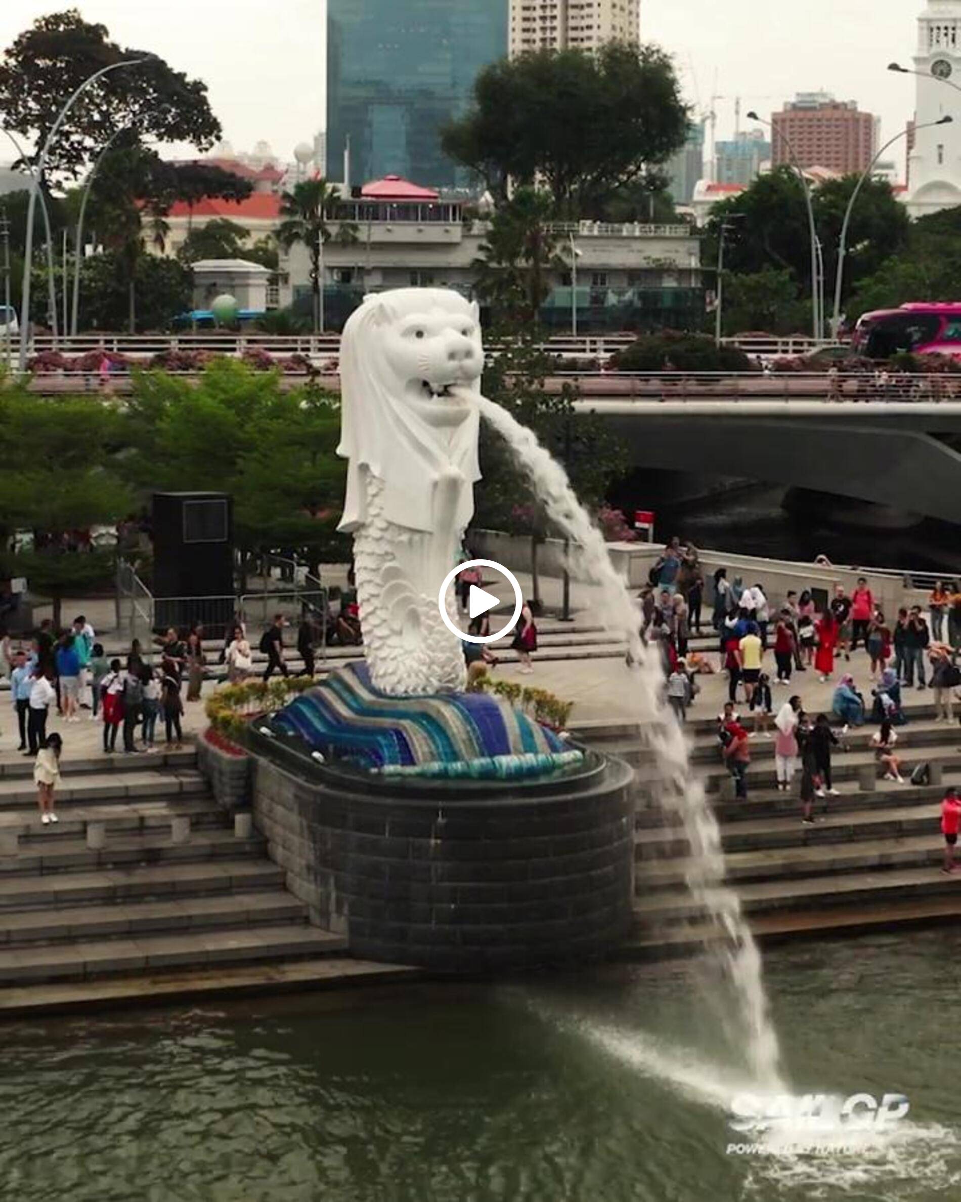 SailGP in Singapore | SENATUS