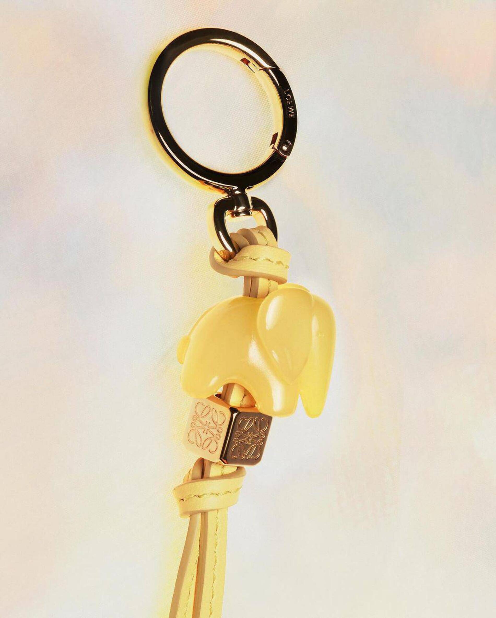 LOEWE introduces Jade collection for Chinese New Year 2024 | SENATUS