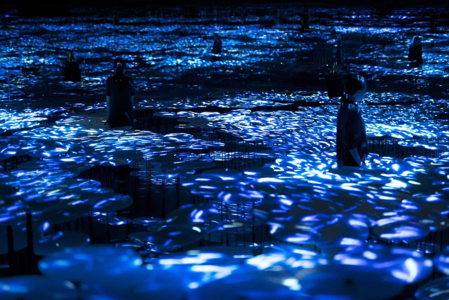 teamLab's New Museum in Tokyo is the World’s Largest Dedicated to ...
